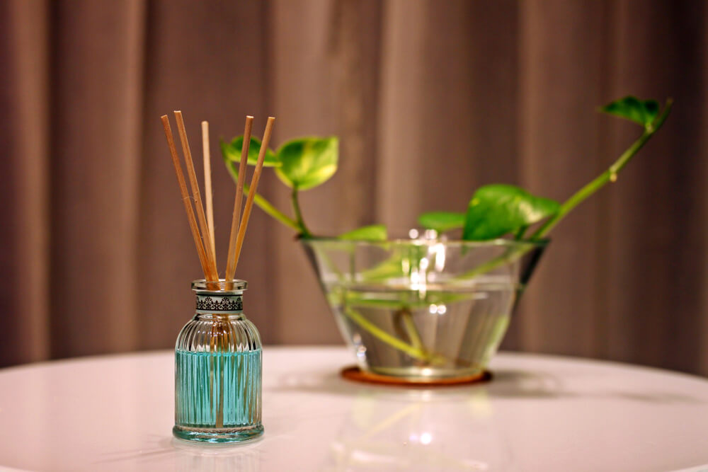 Få hemmet att dofta fräscht – 6 effektiva tips - Steg för Hälsa